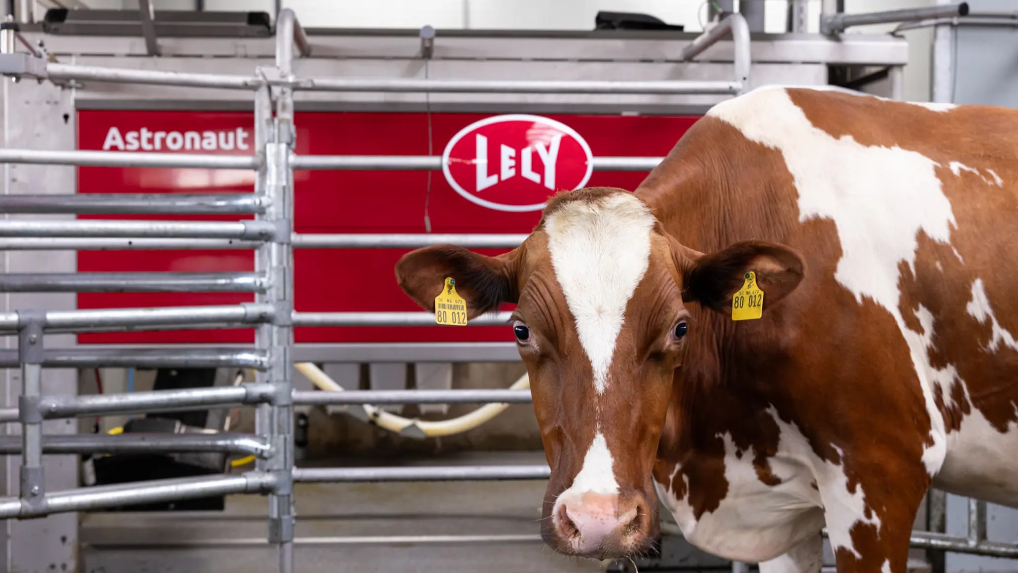 Robotic Milking Success at Dornacker Dairy: The Role of the Lely A5 ...